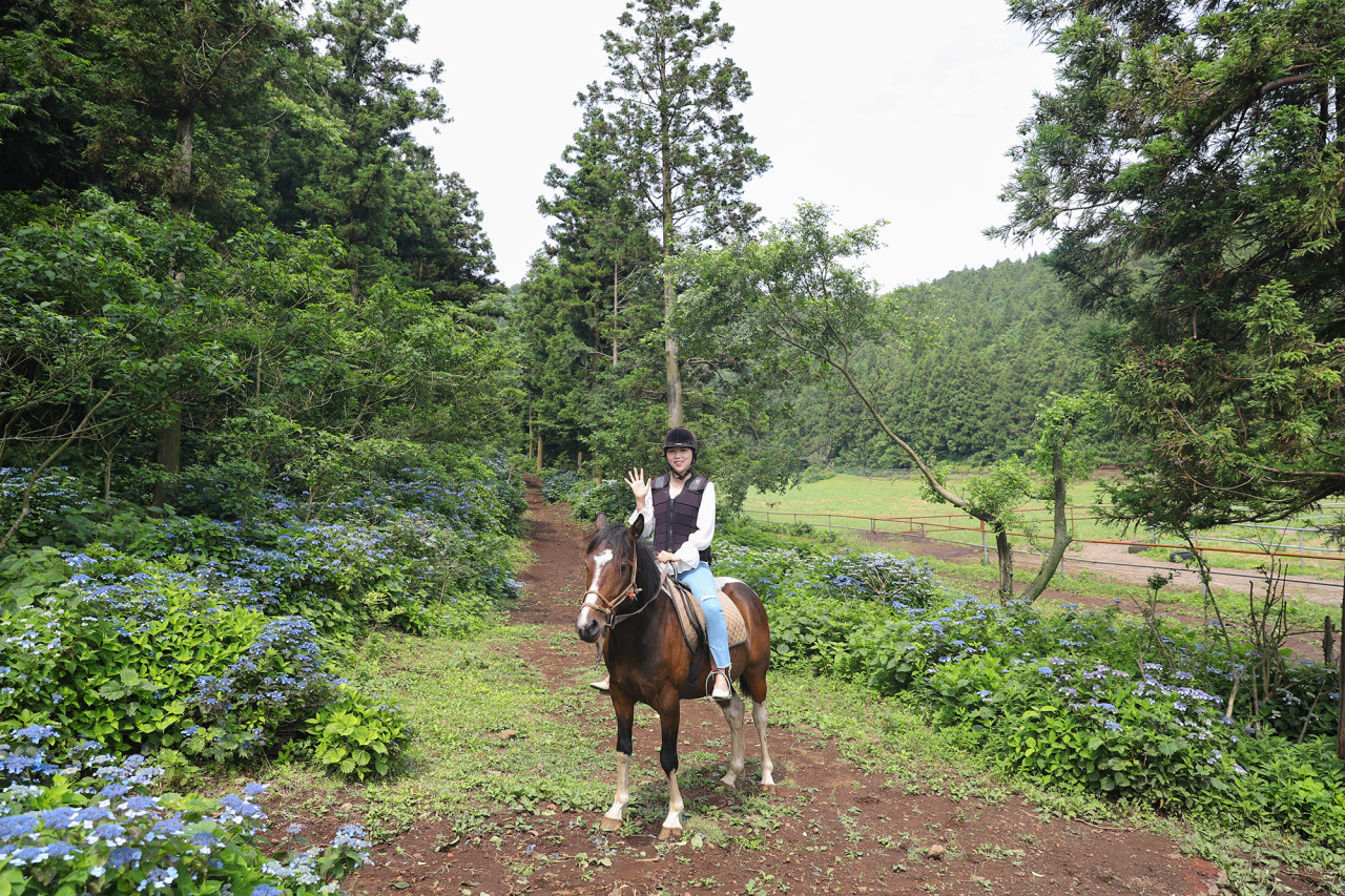 済州島乗馬体験 あしめ │自然派Coursが人気の済州 Orrum乗imaland完全guide